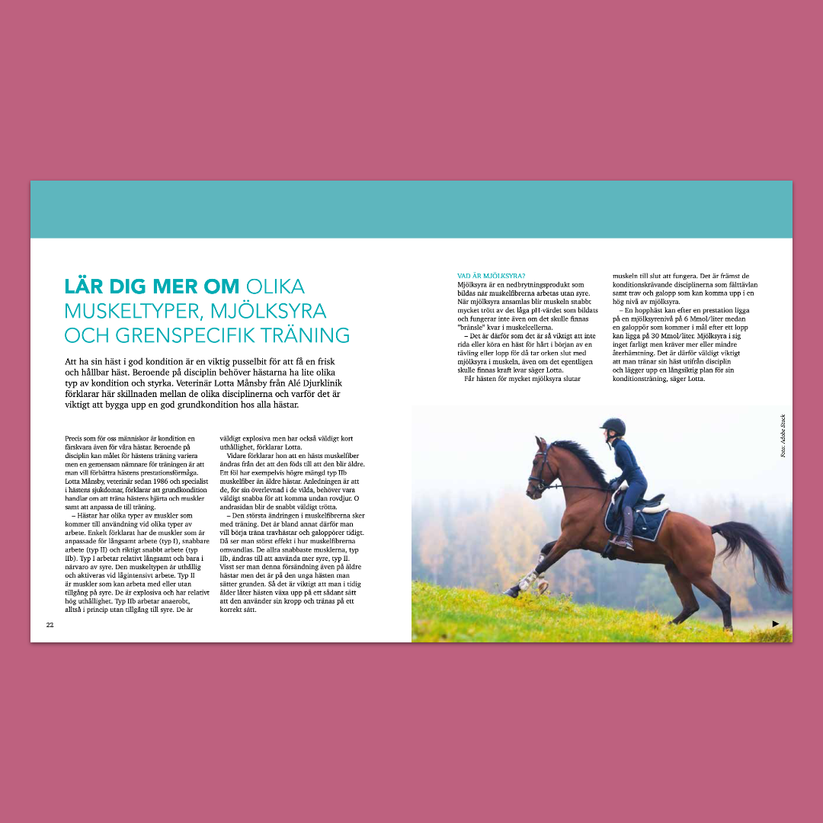 Den hållbara hästen – Experternas råd och tips för en frisk och sund h ...