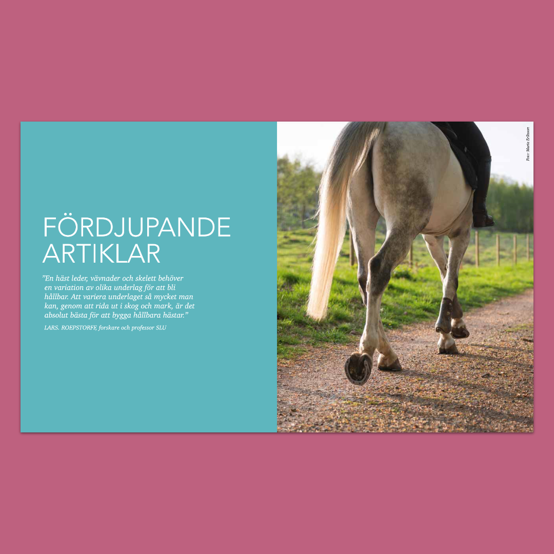Den hållbara hästen – Experternas råd och tips för en frisk och sund h ...