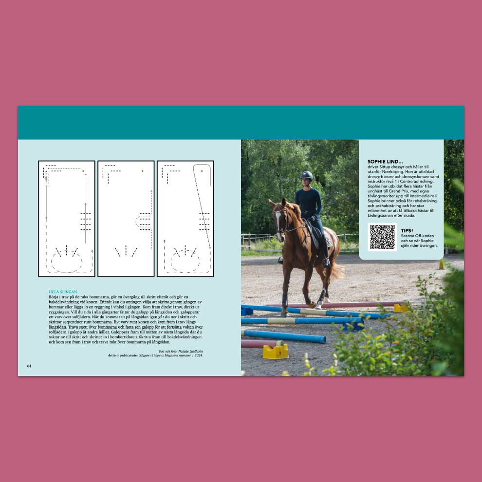 Den hållbara hästen – Experternas råd och tips för en frisk och sund h ...